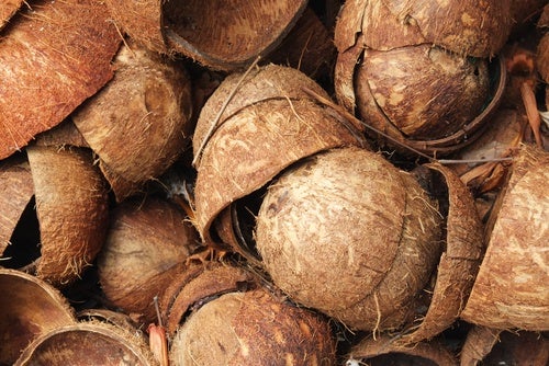 El coco: cómo utilizar el agua, preparar leche y cocinar la pulpa ...