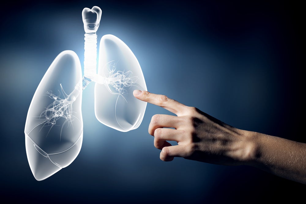 Los pulmones y sus características - Mejor con Salud