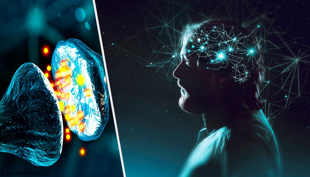 Sistema nervioso parasimpático