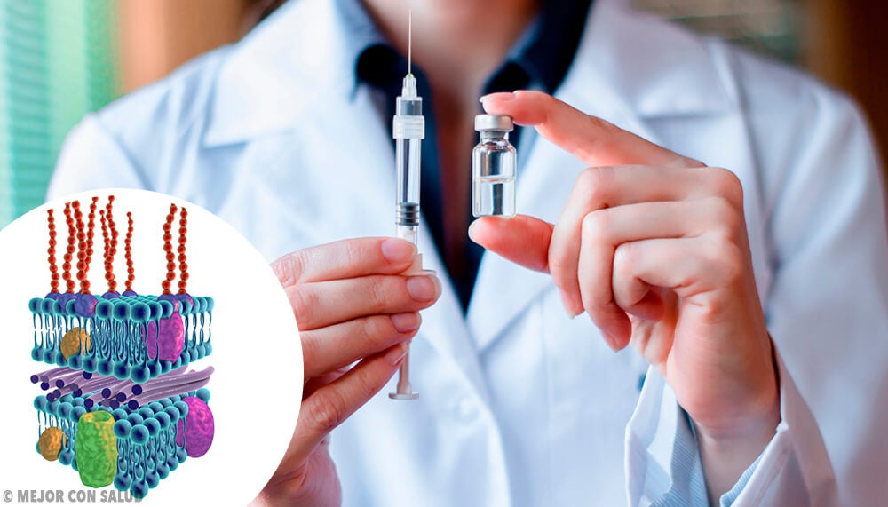 Bacitracina: qué es y cómo actúa - Mejor con Salud