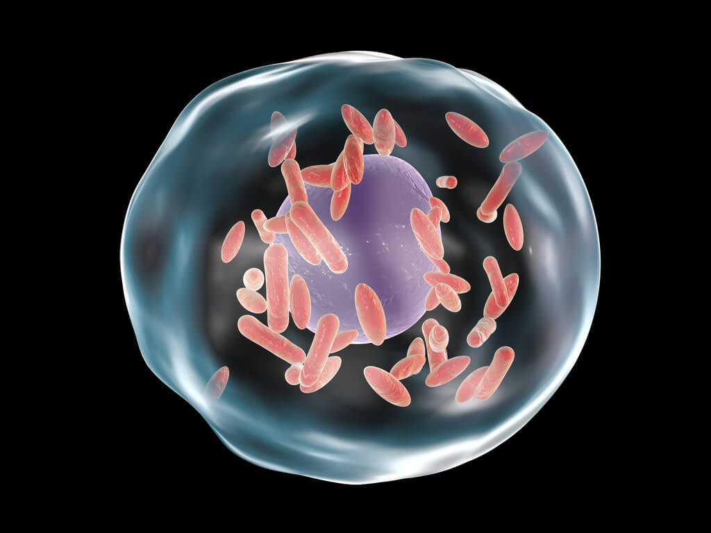 Tratamiento de la tos ferina - Mejor con Salud