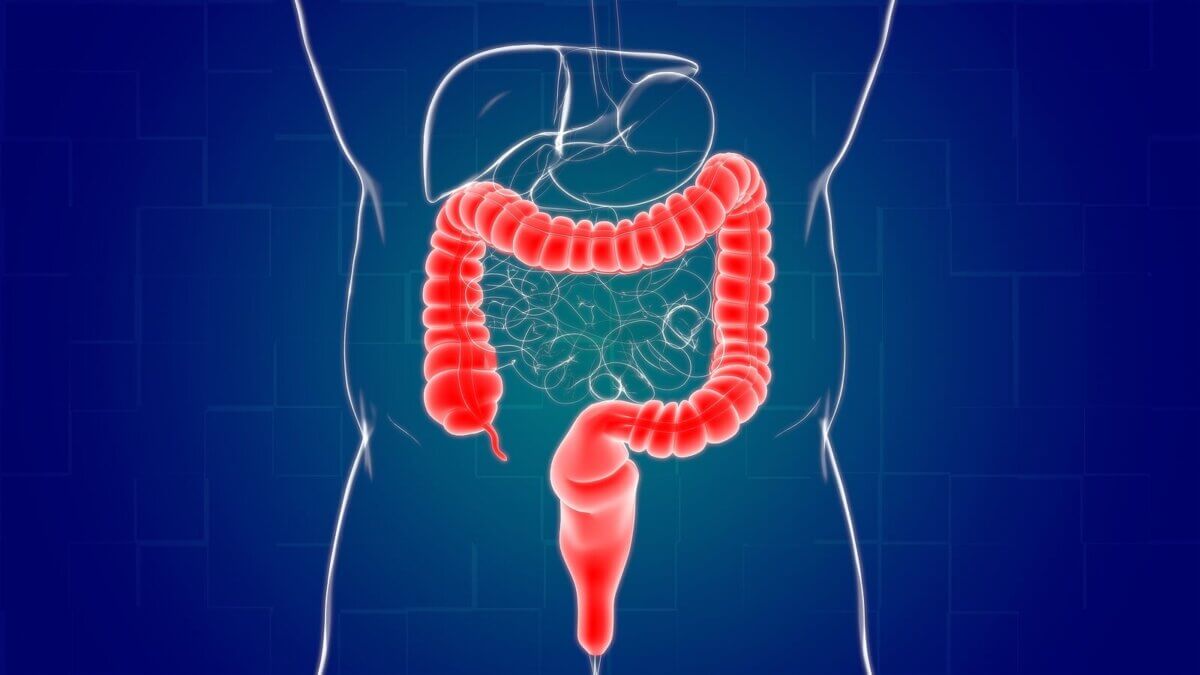 ¿Qué es la proctitis, qué la causa y cómo se trata? - Mejor con Salud
