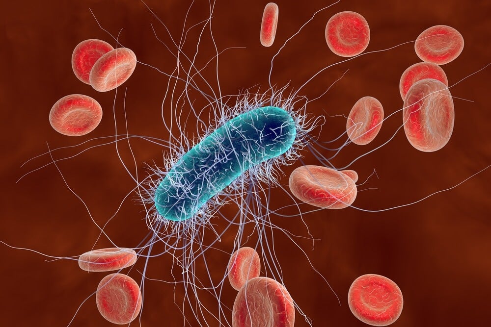 Escherichia coli: todo lo que debes saber - Mejor con Salud