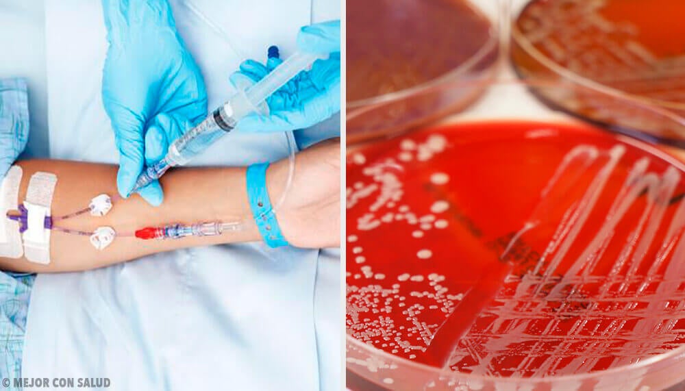 Cefalotina: qué es y cómo actúa - Mejor con Salud