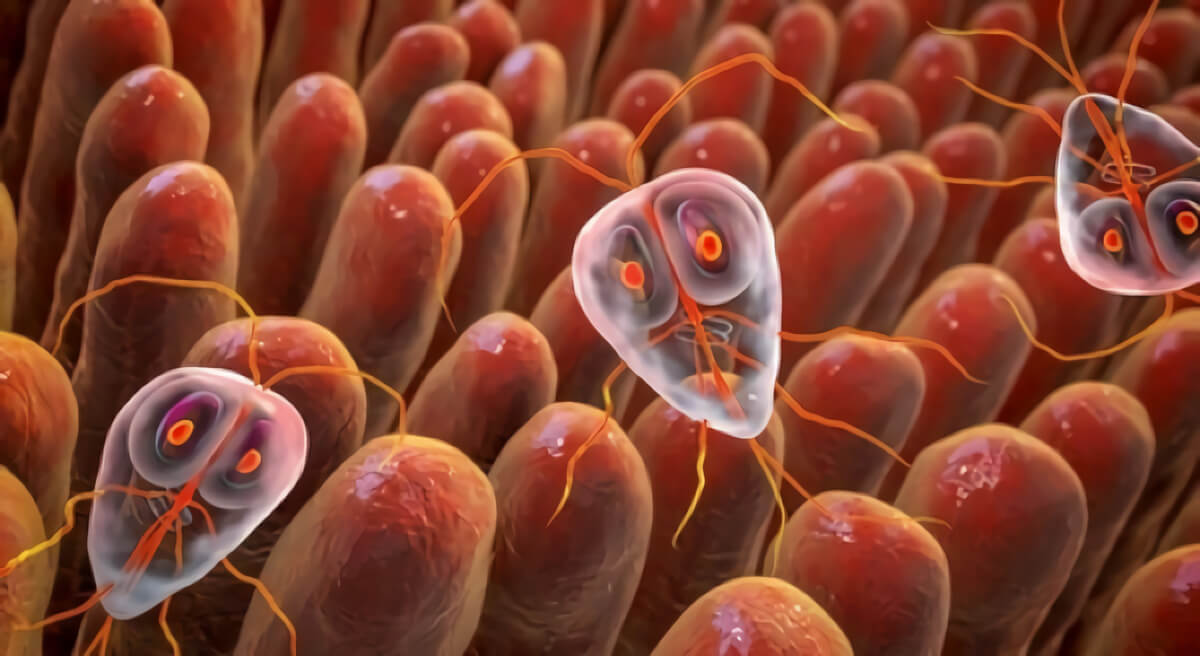 Dile adiós a las infecciones por parásitos con 6 remedios naturales