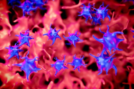 Trombocitosis: síntomas, causas y tratamiento - Mejor con Salud