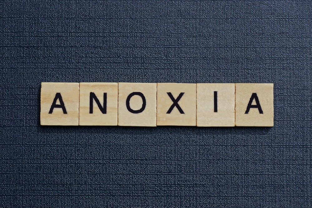 La anoxia o falta de oxígeno en un tejido - Mejor con Salud