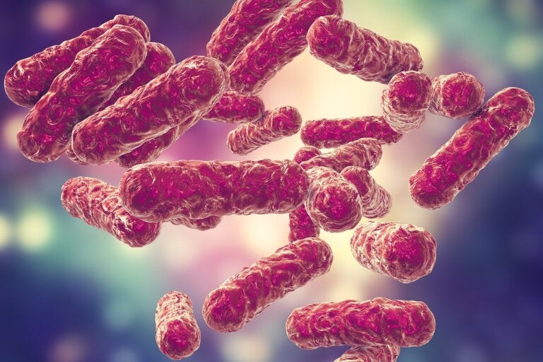 Enfermedades infecciosas - Mejor con Salud