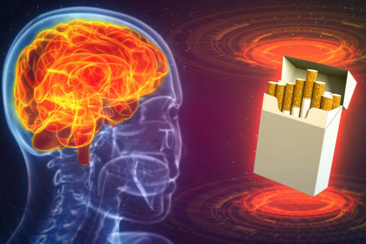 Efectos De Fumar Cigarrillos En El Cerebro