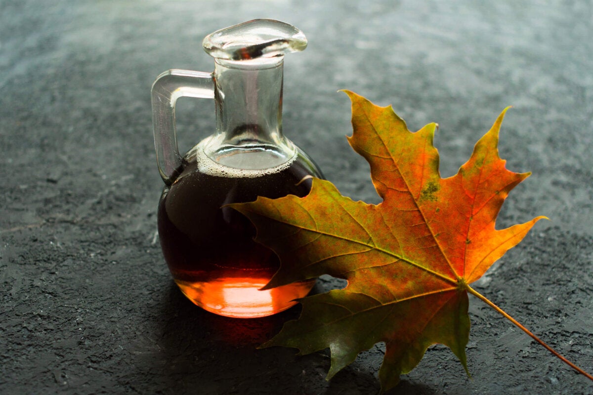 Hoja De Jarabe De Arce Miel Maple Syrup Jarabe De Arce Bernard 1 L.