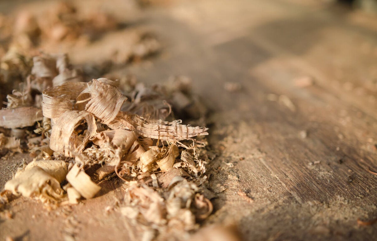 8 usos prácticos que le puedes dar al aserrín en el hogar - Mejor con Salud