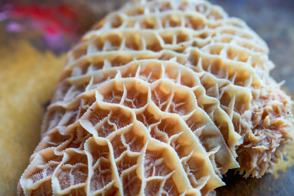 Así debes lavar los callos para comerlos sin problemas - Mejor con Salud