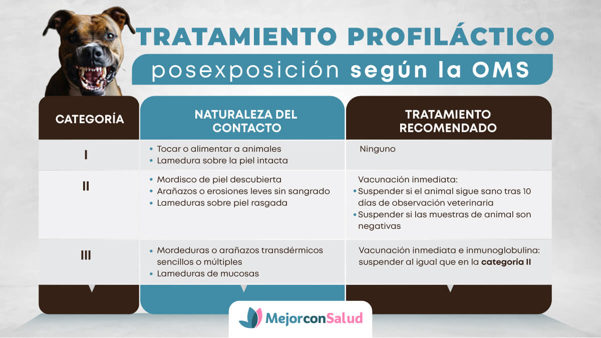 Rabia en humanos: síntomas, diagnóstico y tratamiento - Mejor con Salud