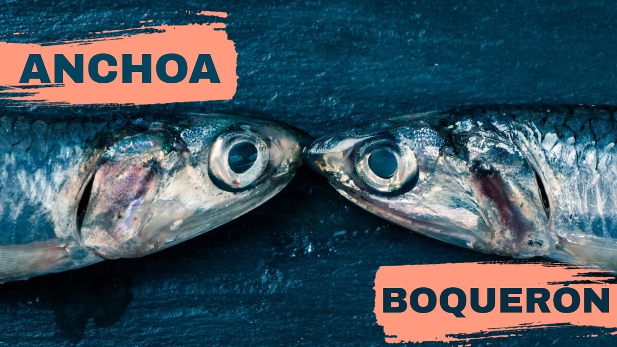 Anchoa o boquerón: conoce sus beneficios y propiedades - Mejor con Salud