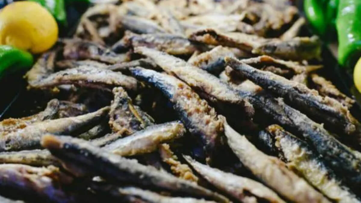 Melva: el nutritivo pescado azul que pocos conocen - Mejor con Salud